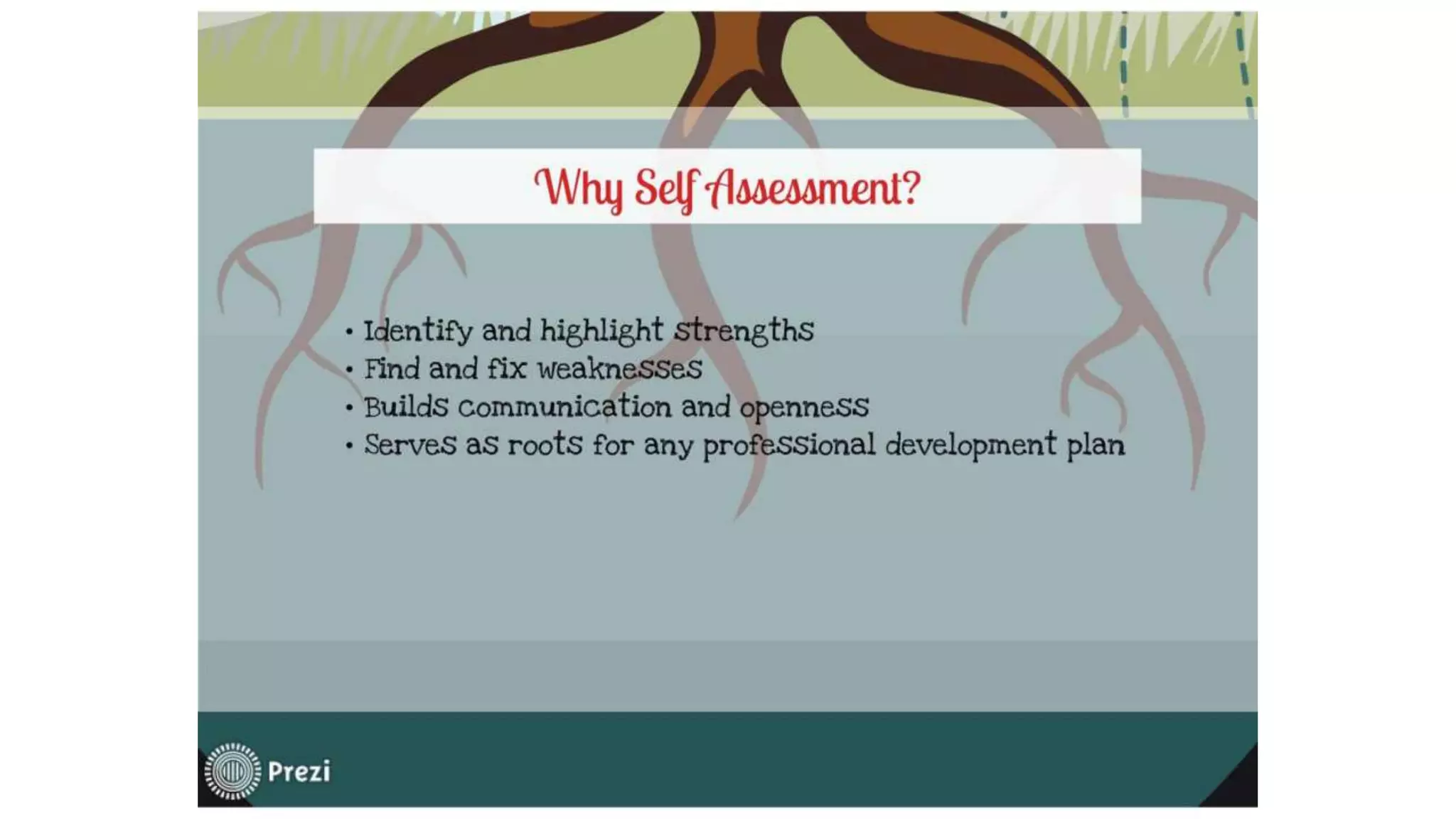 Self Assessment: A Professional Development Tool | PPT