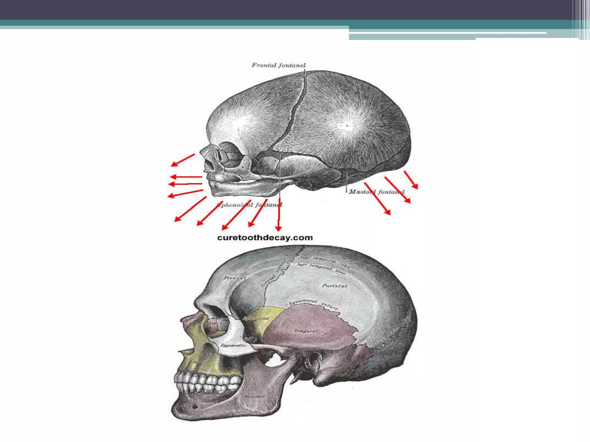 Self correcting anomalies | PPTX