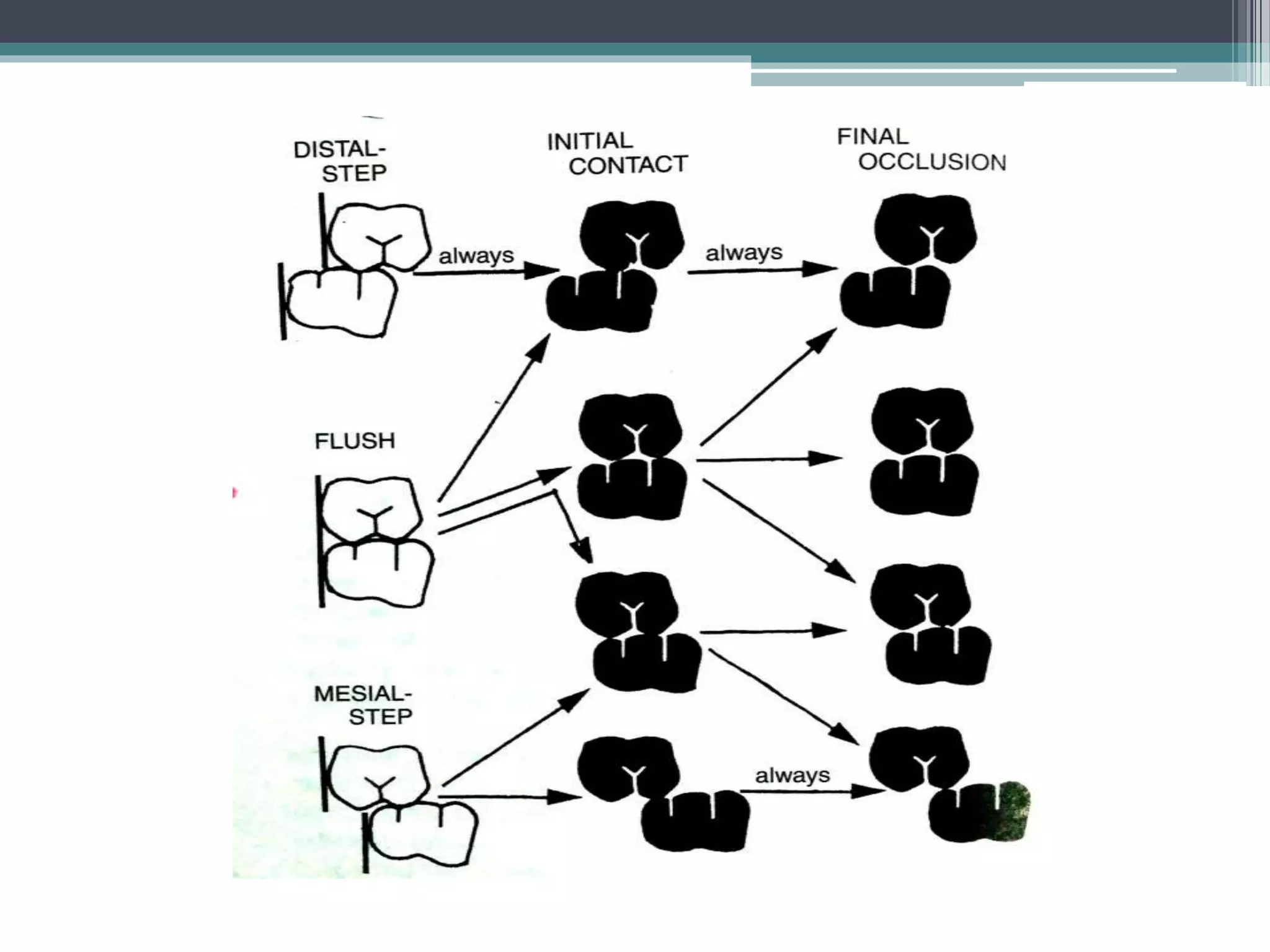 Self Correcting Anomalies Pptx
