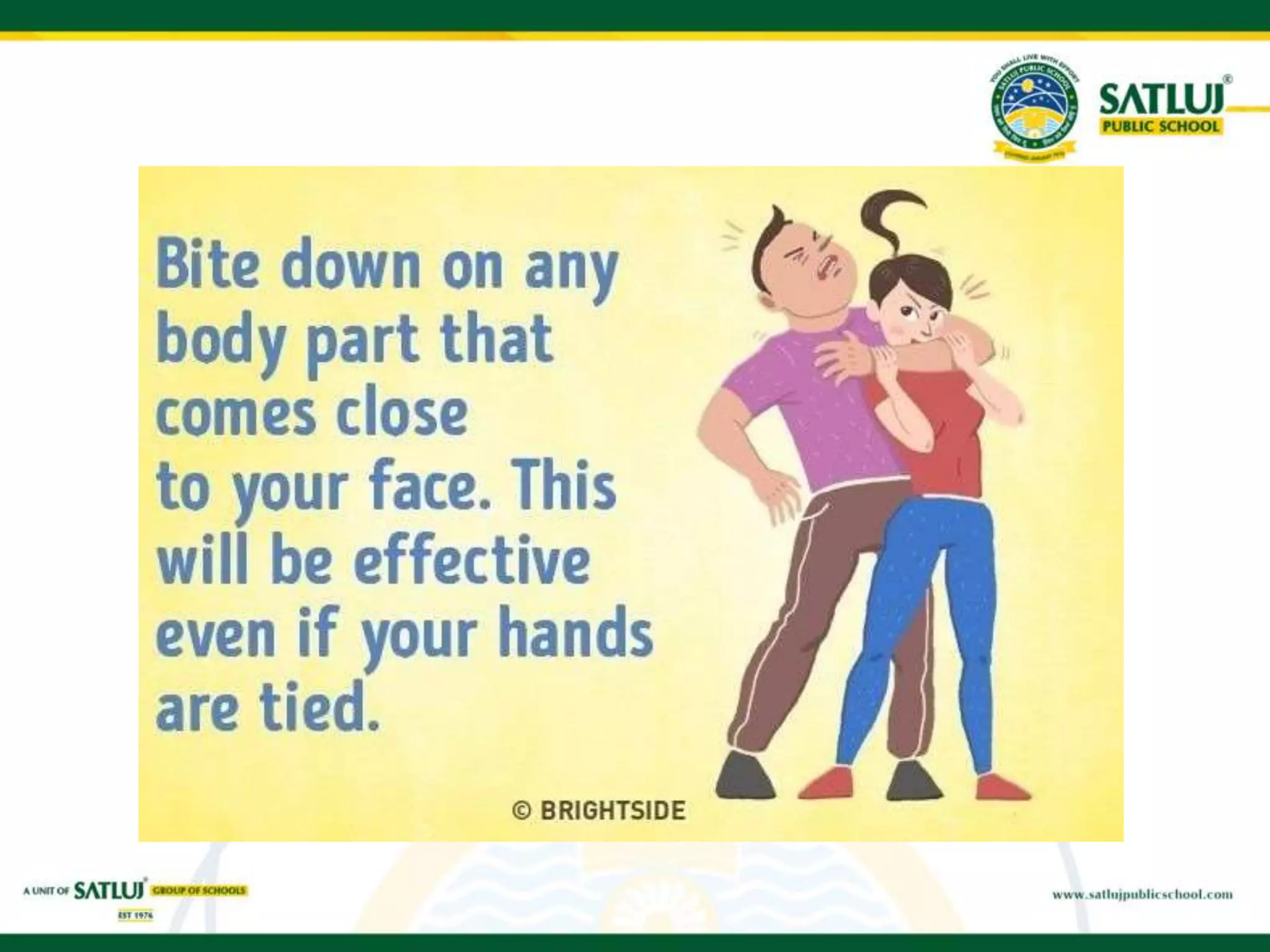 self defense ppt.pptx