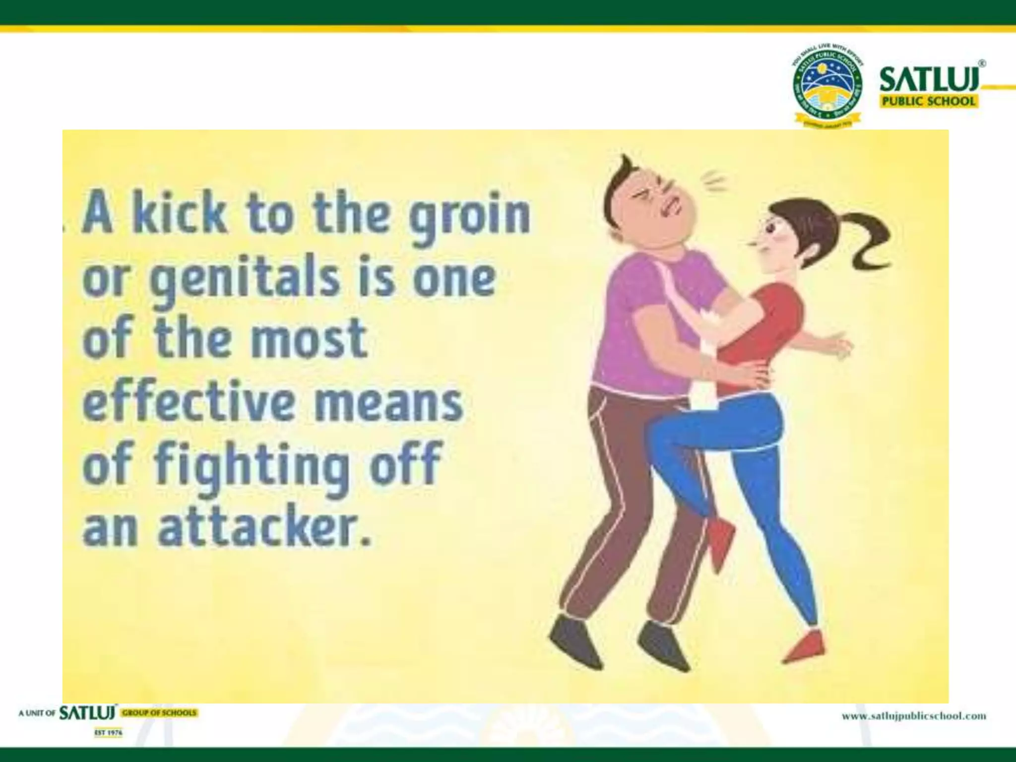 self defense ppt.pptx