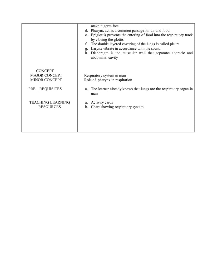 Self designed innovative lesson plan | PDF