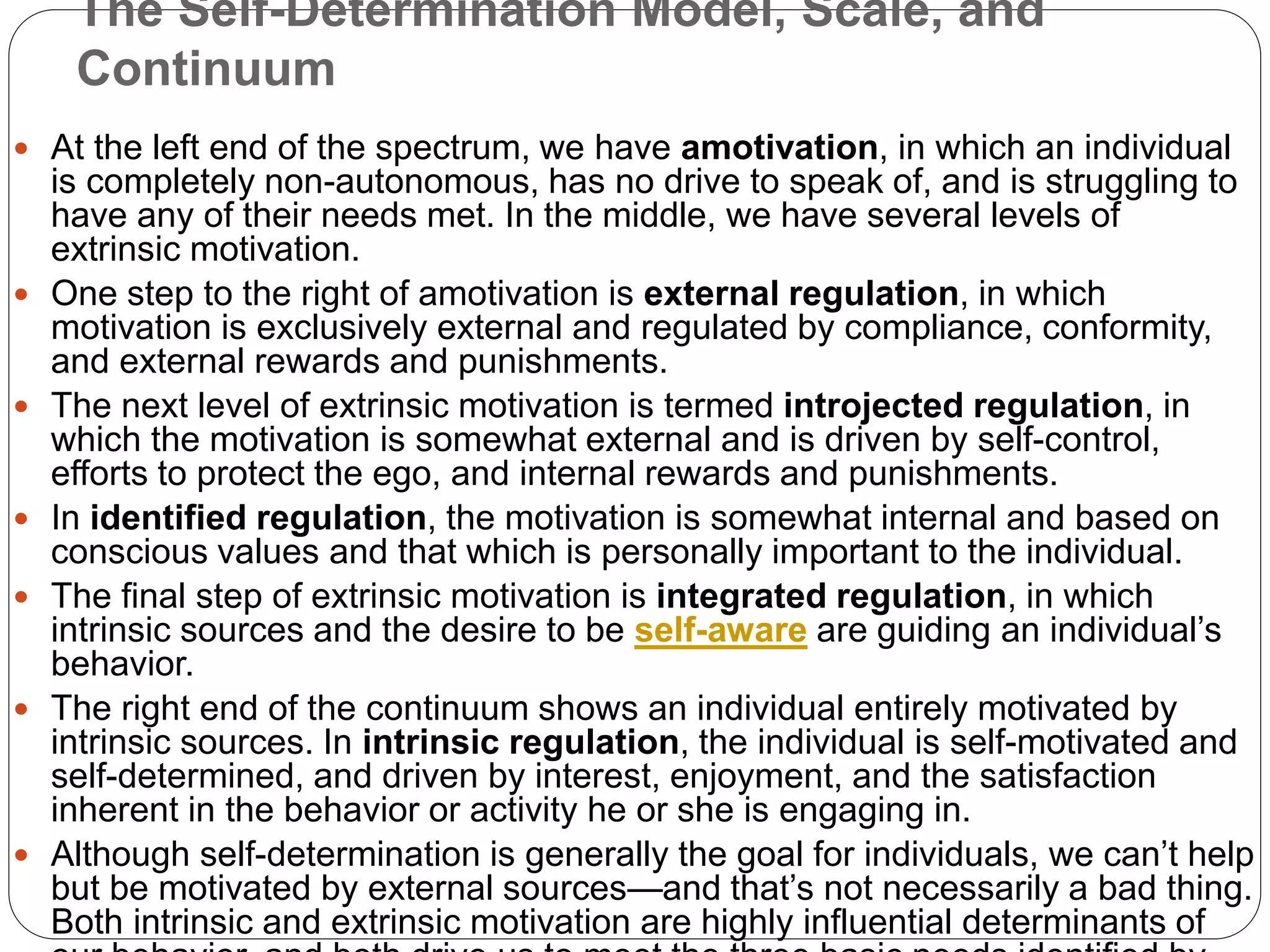 Self determination theory | PPTX