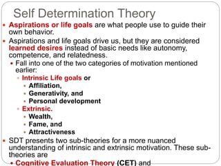 Self determination theory | PPTX