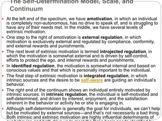 Self determination theory | PPTX