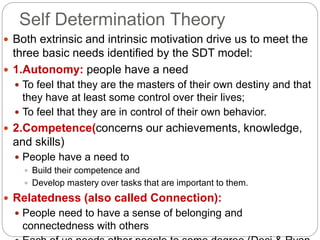 Self determination theory | PPTX