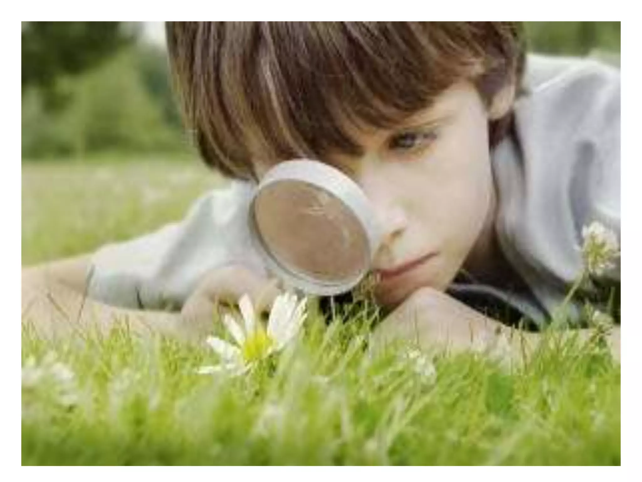 Self Directed Learning | PPTX