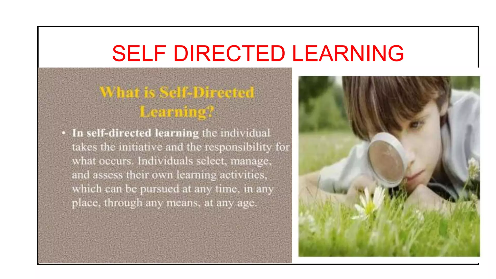 self directed learning and demonstration.pptx