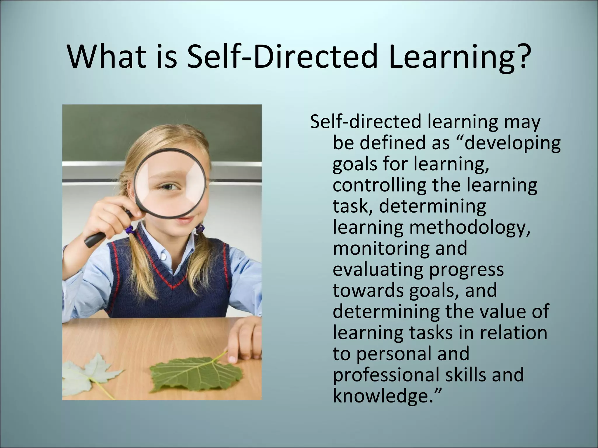 Self Directed Learning For Professionals 2009 | PPT