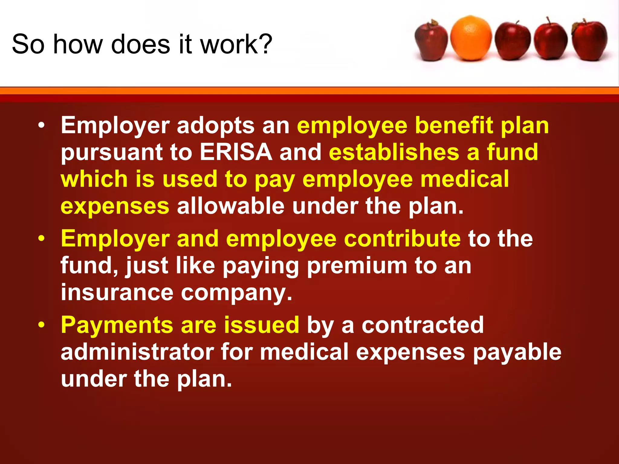 Self Funded Health Plans 101 | PPS