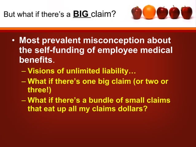 Self Funded Health Plans 101 | PPS