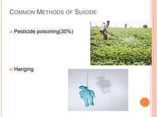 Self harm and suicide | PPTX