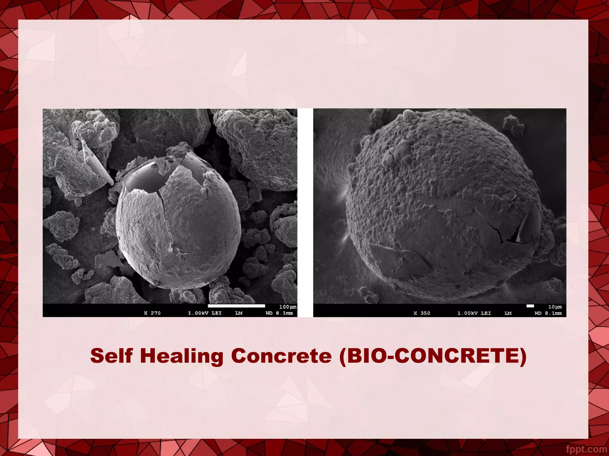 Self healing concrete | PPT