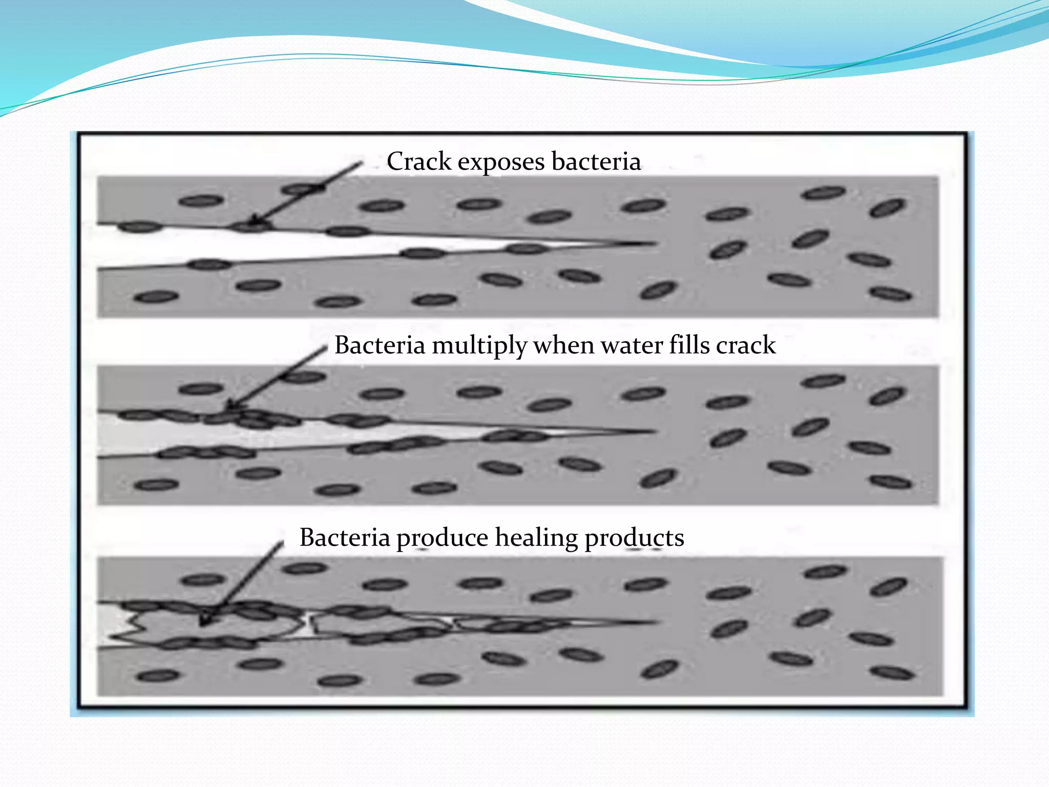 Self healing concrete | PPTX