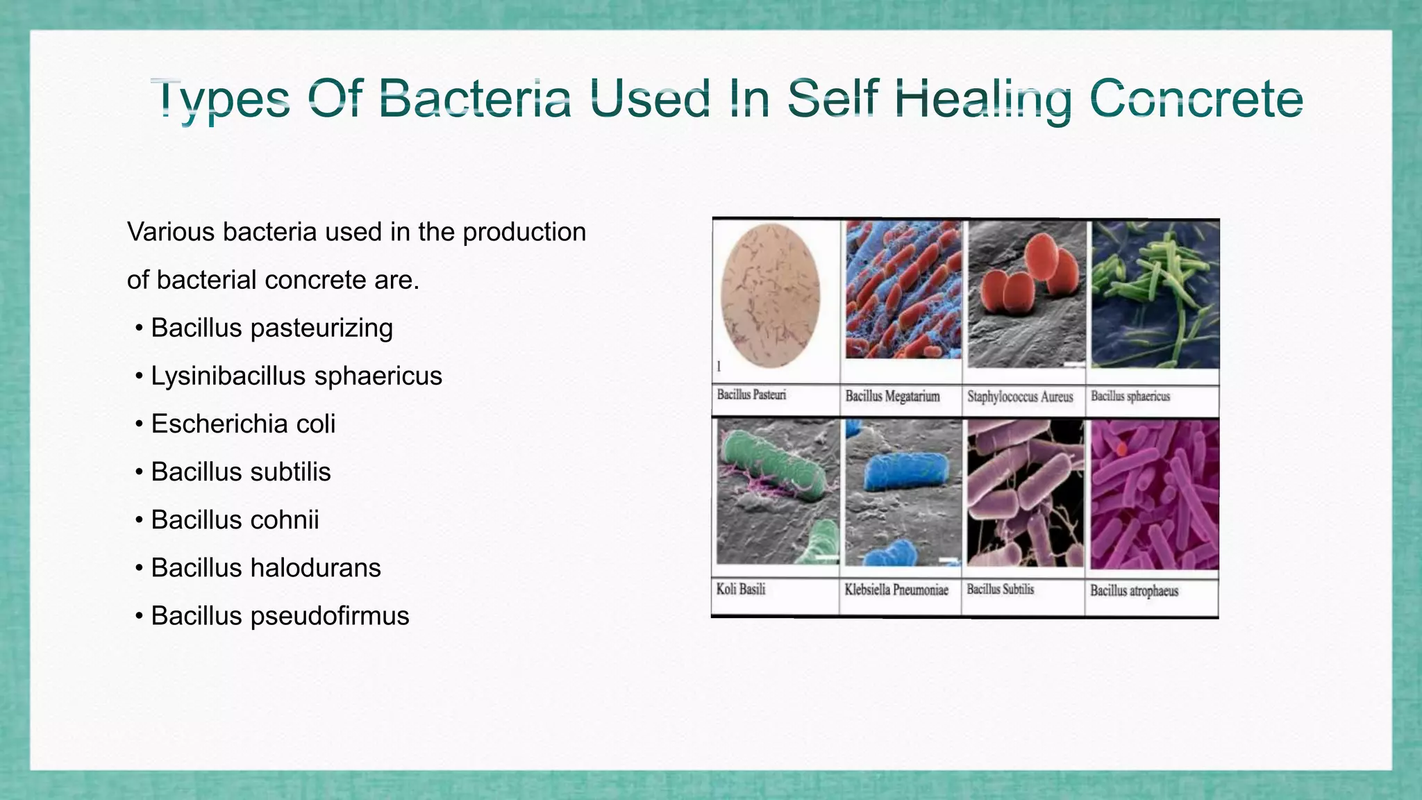 self healing concrete-WPS Office.pptx