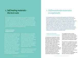 Self healing materials iop overzicht | PDF