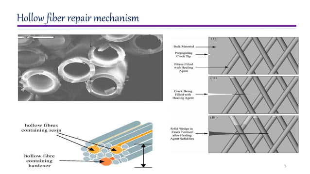 Self healing polymer | PPTX | Chemistry | Science