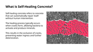 SELF HEALING PROPERTIES OF BACTERIAL CONCRETE (1).pptx