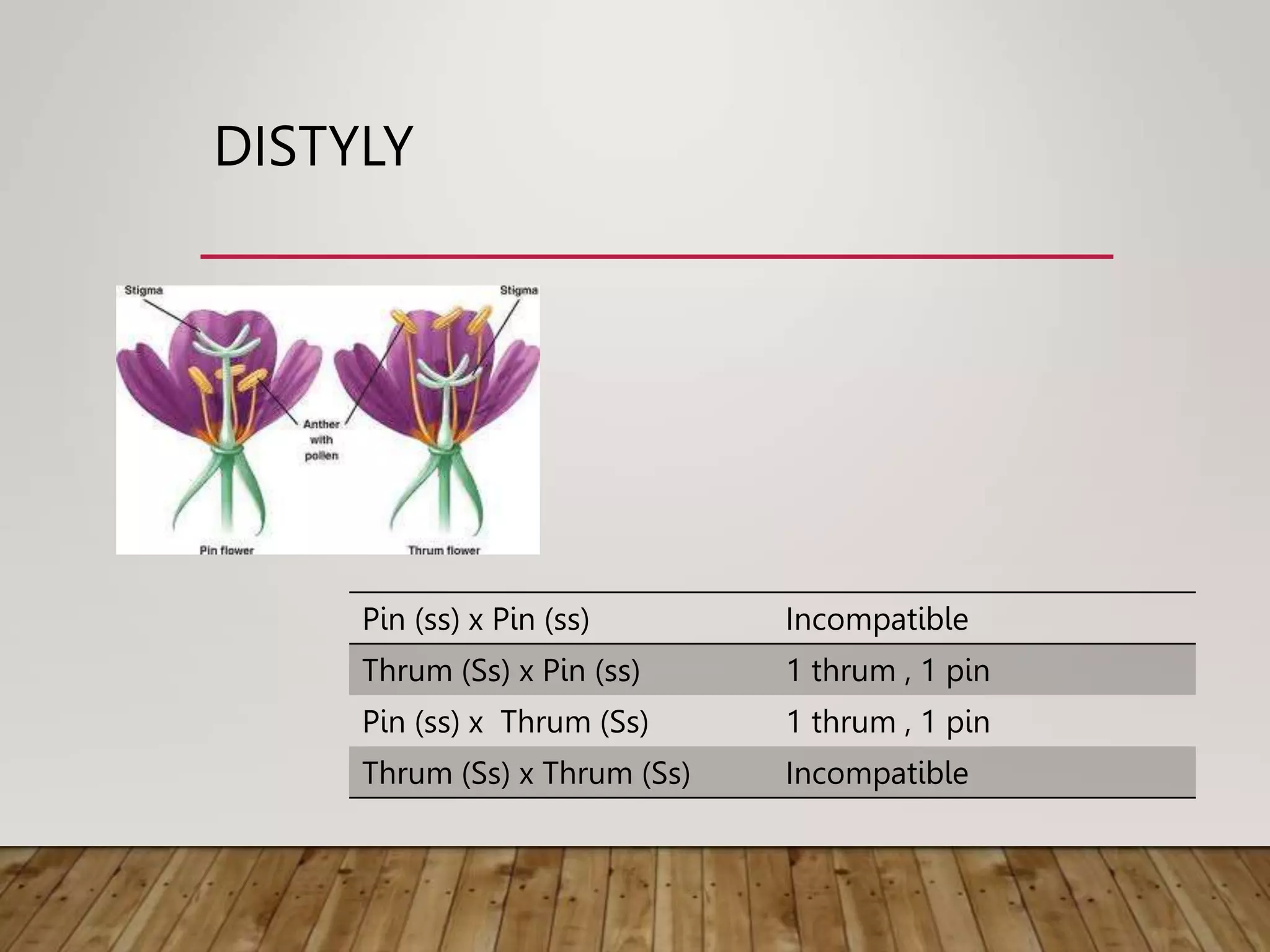 self incompatability.ppt