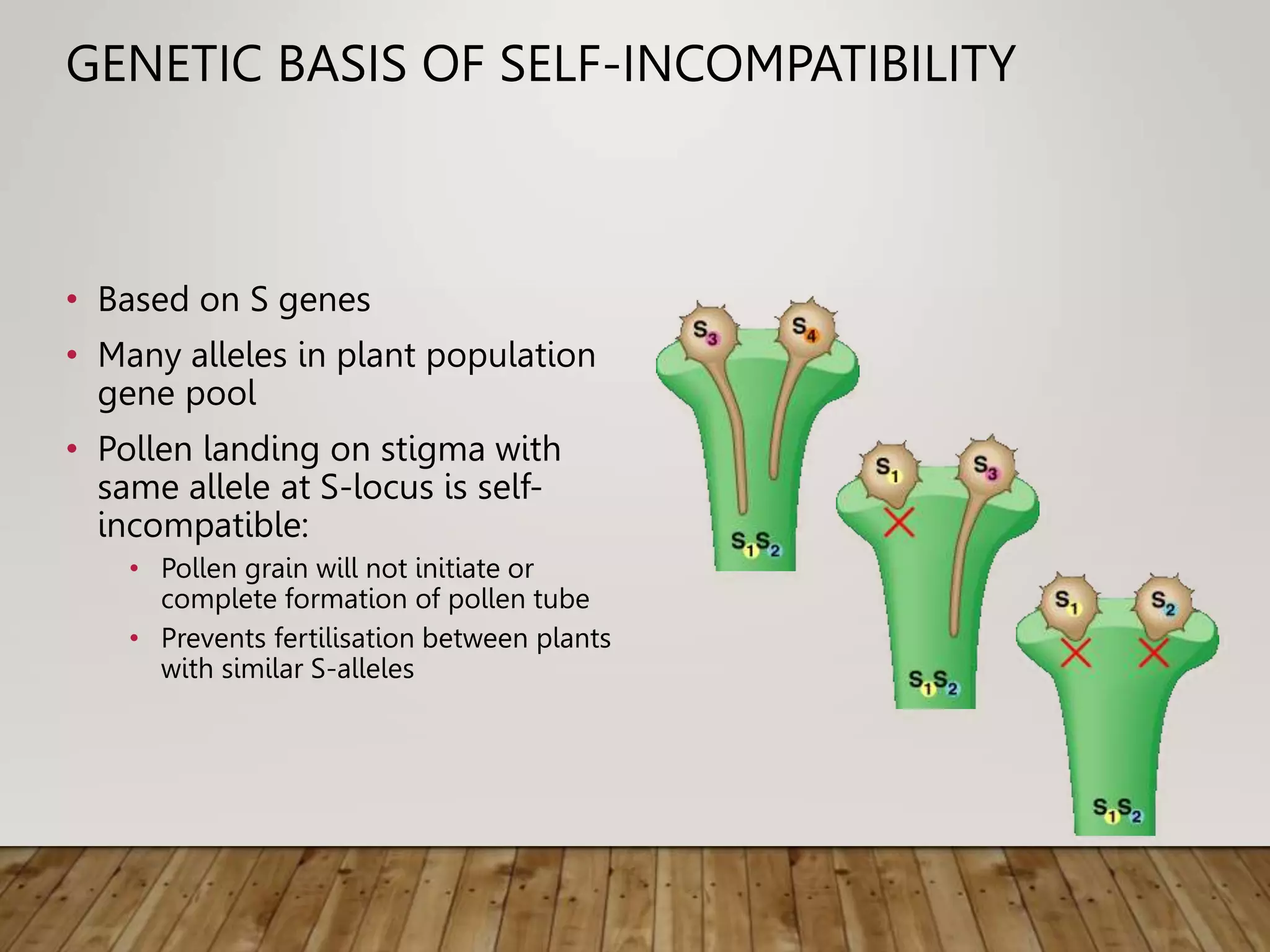 self incompatability.ppt