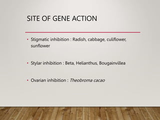 self incompatability.ppt