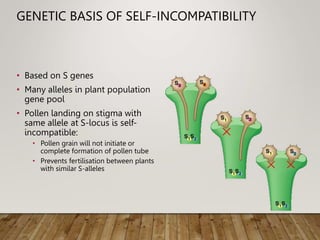 self incompatability.ppt