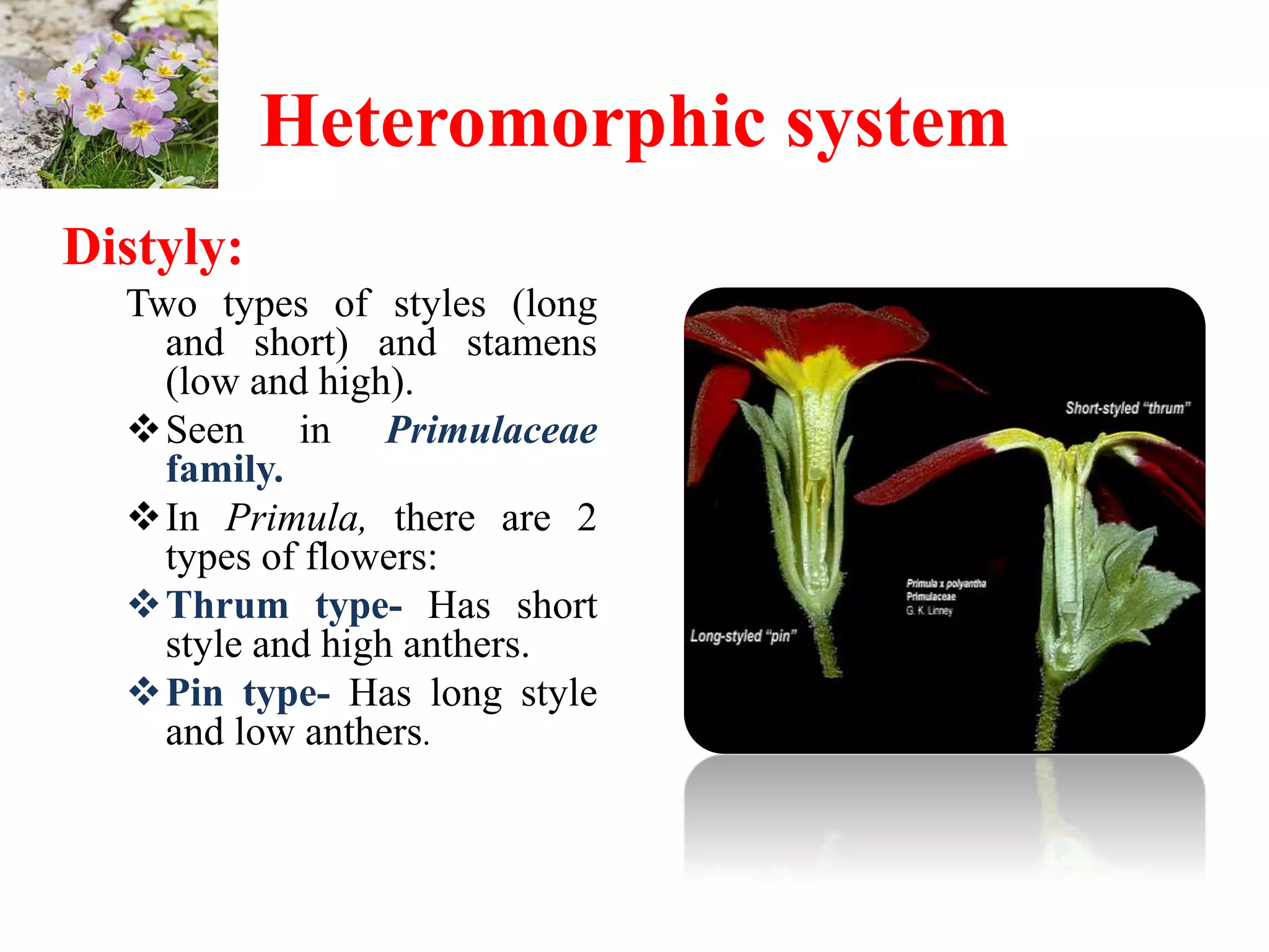 Self incompatability in plants,pseudoalleles and isoalleles | PPT