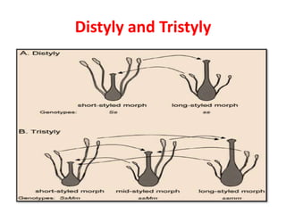 Self incompatability in plants,pseudoalleles and isoalleles | PPT