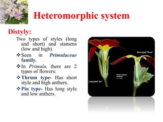 Self incompatability in plants,pseudoalleles and isoalleles | PPT