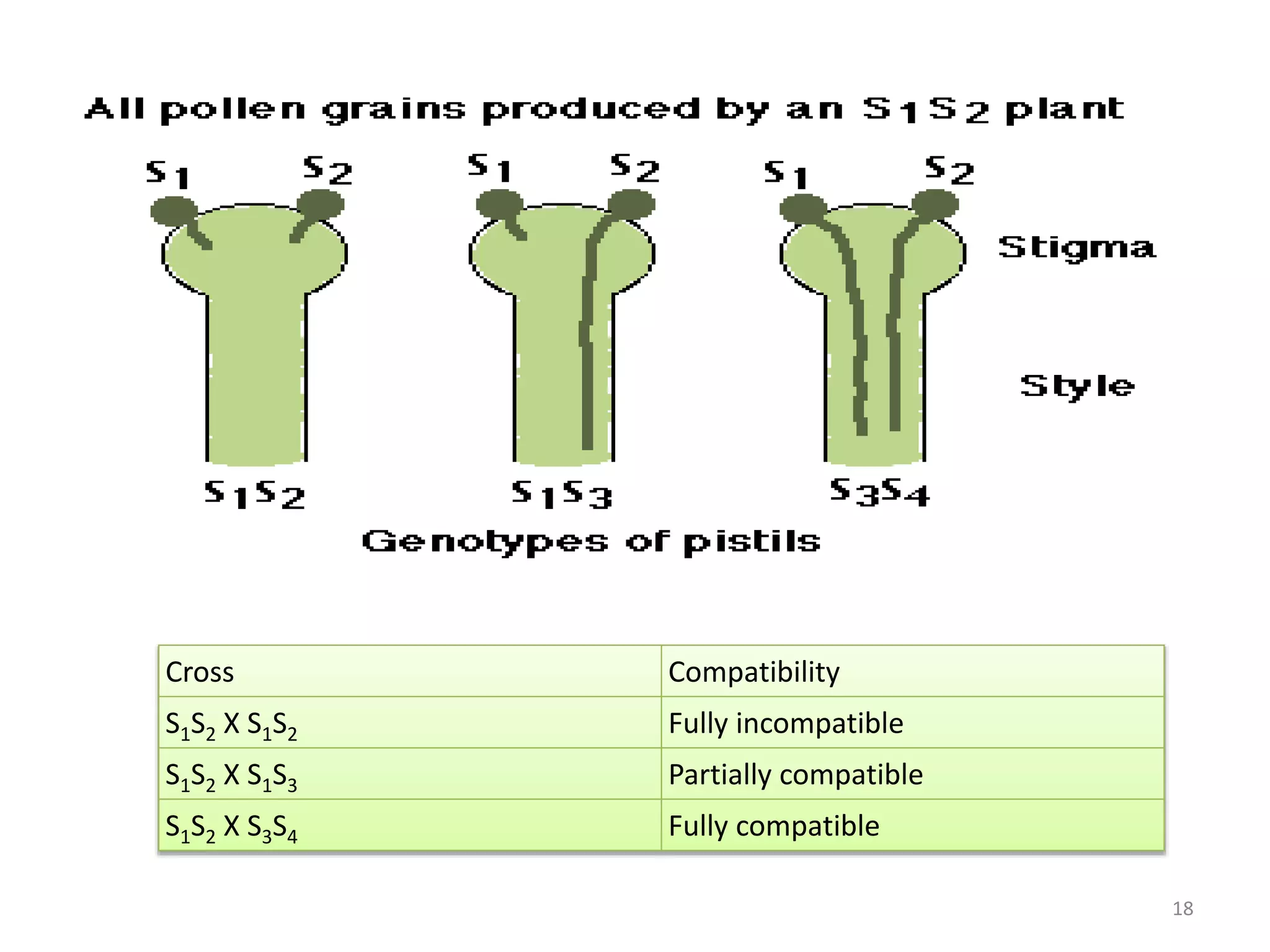 Self incompatibility in Plants | PPTX