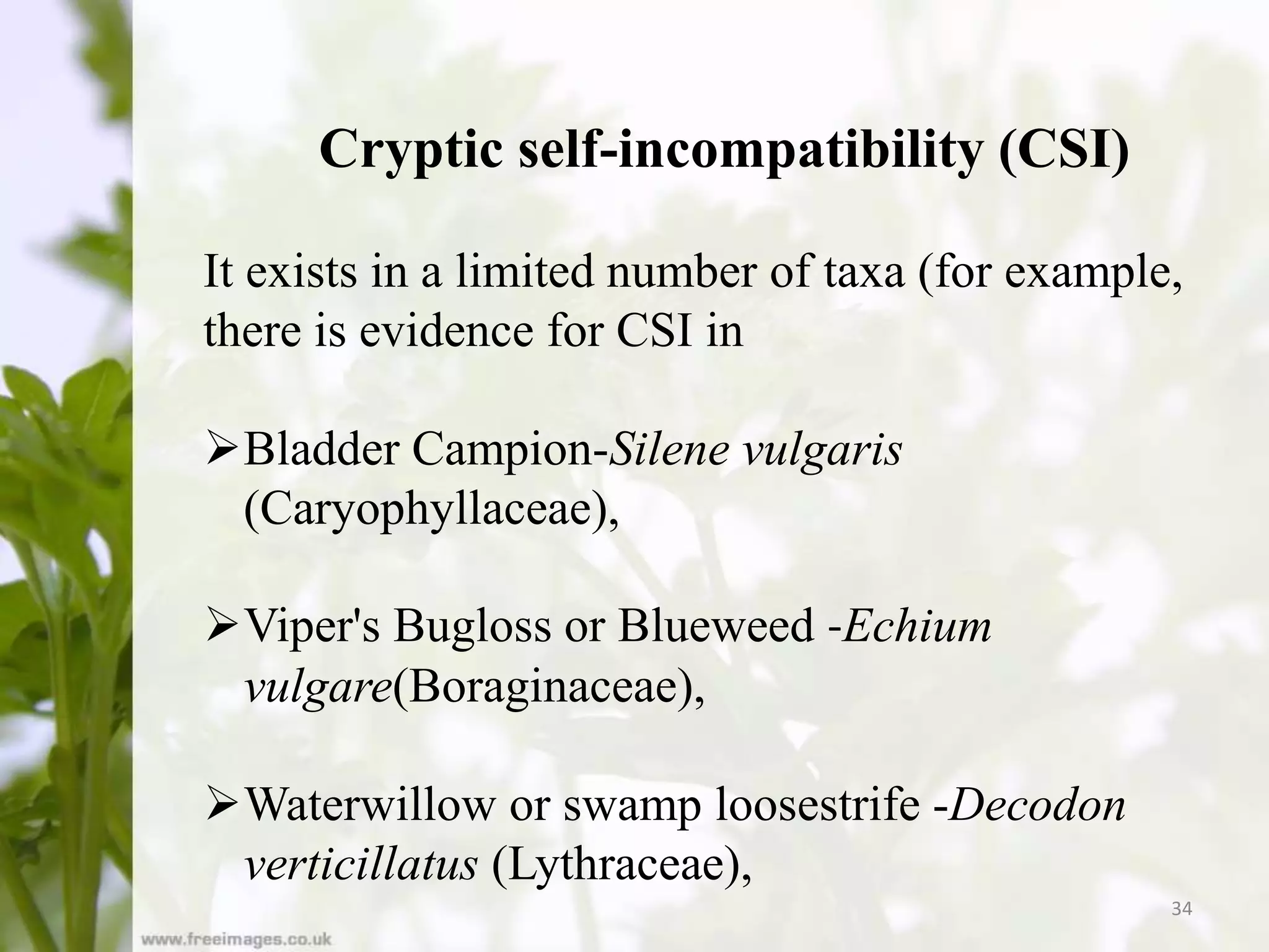 Self incompatibility in Plants | PPTX