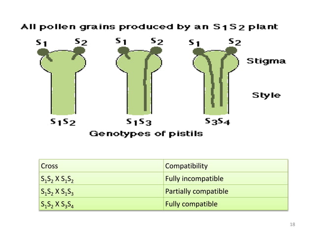 Self incompatibility in Plants | PPTX