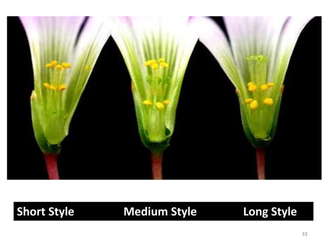 Self incompatibility in Plants | PPTX