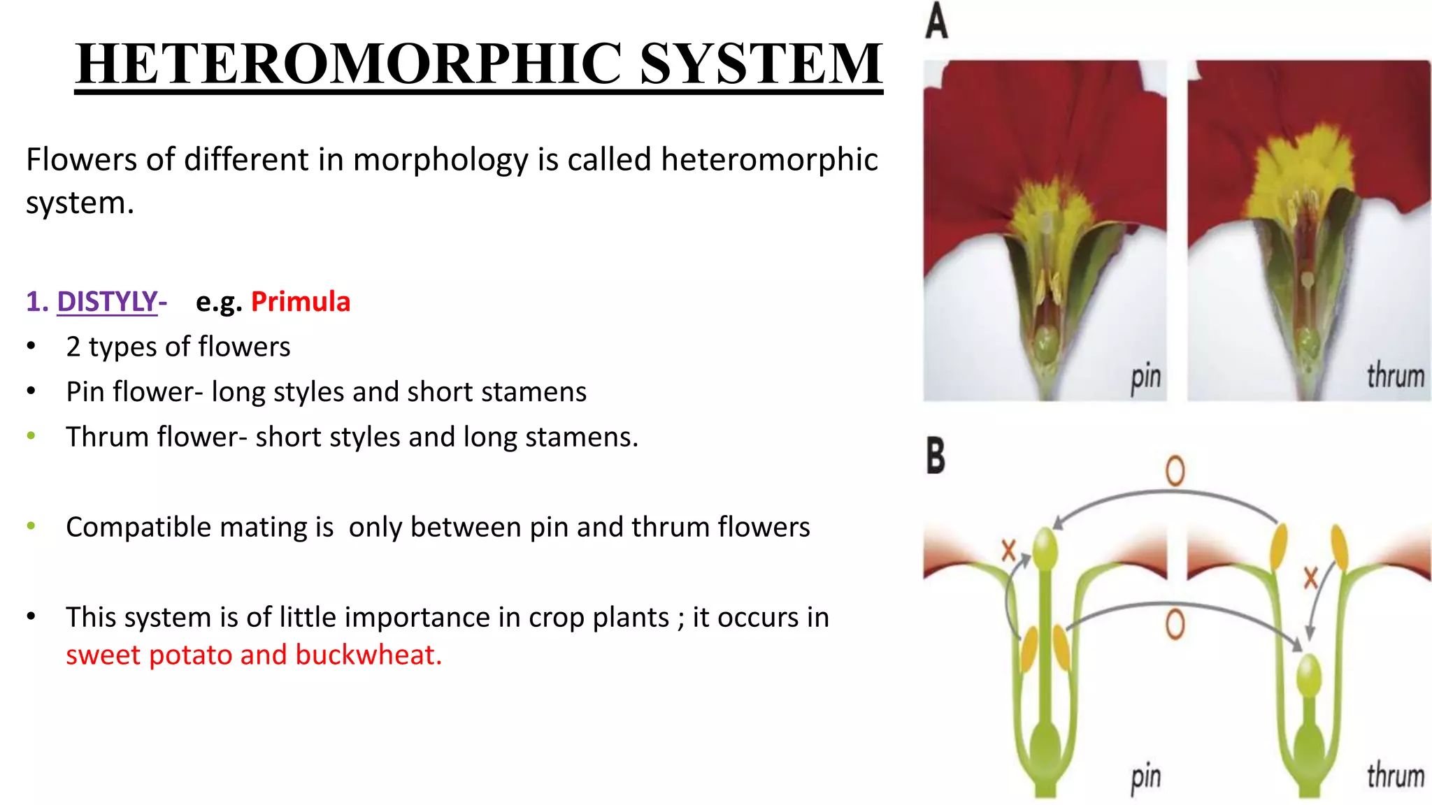 Self incompatibility | PPTX