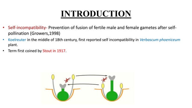 Self incompatibility | PPTX | Gardening | Home & Garden