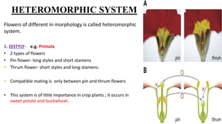 Self incompatibility | PPTX