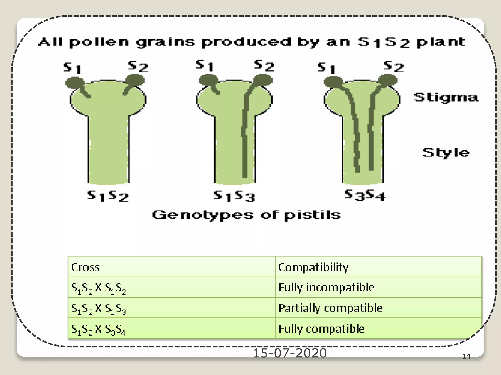 Self incompatibility | PPT