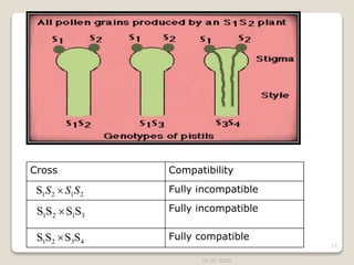 Self incompatibility | PPT