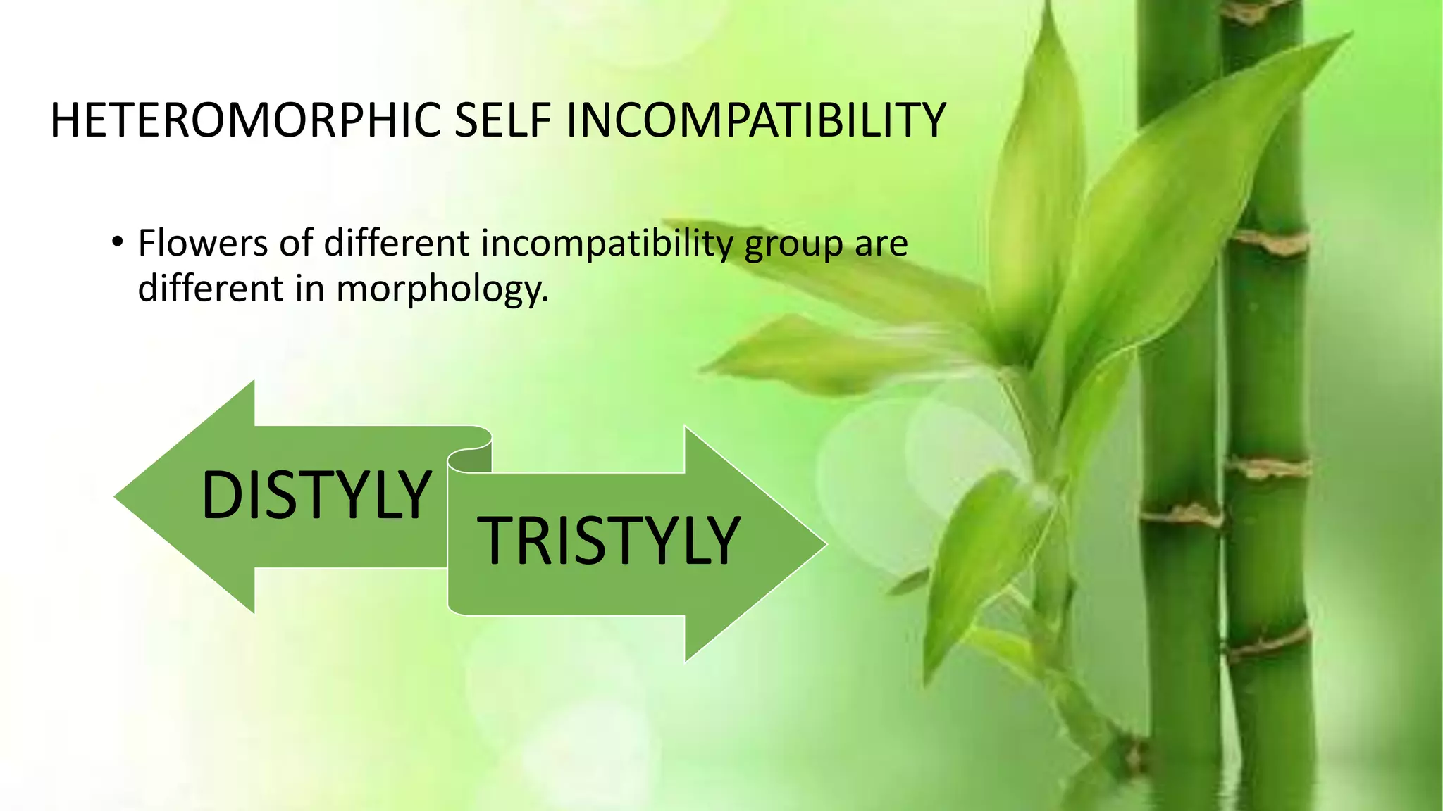 Self incompatibility | PPTX