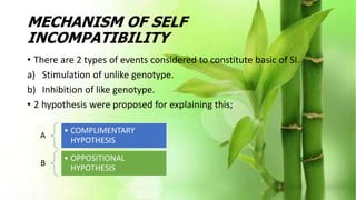 Self incompatibility | PPTX
