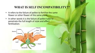 Self incompatibility | PPTX