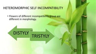 Self incompatibility | PPTX