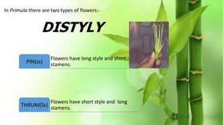 Self incompatibility | PPTX