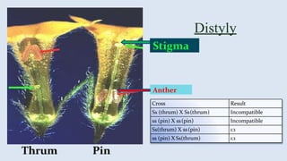 Self incompatibility in Plants | PPTX