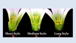Self incompatibility in Plants | PPTX