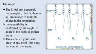 Self incompatibility in Plants | PPTX