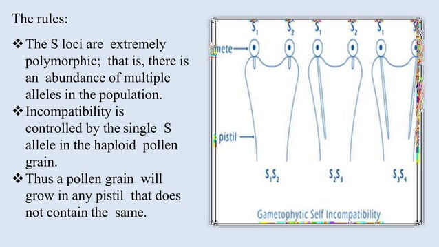 Self incompatibility in Plants | PPTX | Gardening | Home & Garden