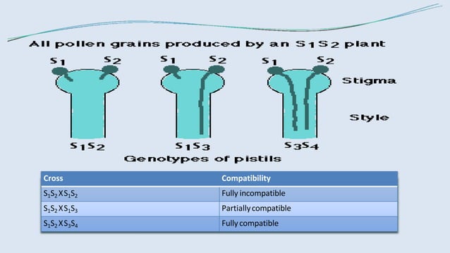 Self incompatibility in Plants | PPTX | Gardening | Home & Garden