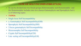 Self incompatibility in Flowers of Angiosperms | PDF