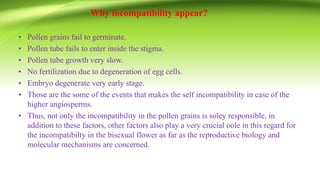 Self incompatibility in Flowers of Angiosperms | PDF